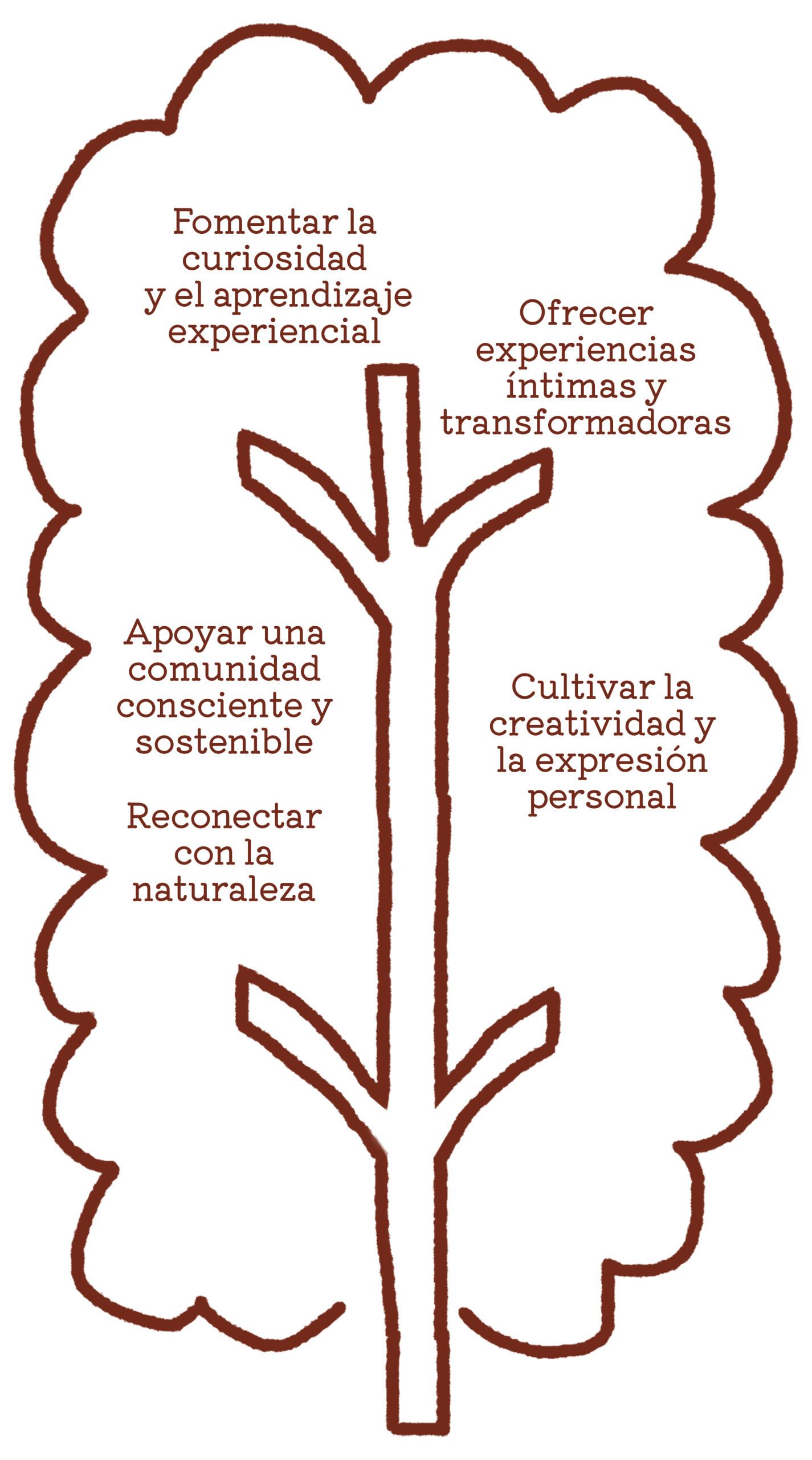 Quienes Somos – Hasha